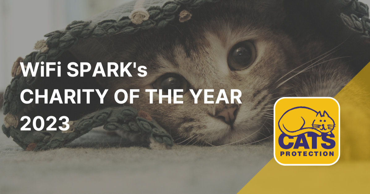 SPARK TSL's Charity of the Year 2023 - Cats Protection | SPARK TSL